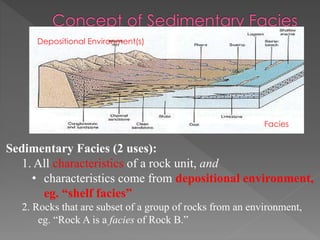 facies, walther's law by Junaid | PPTX