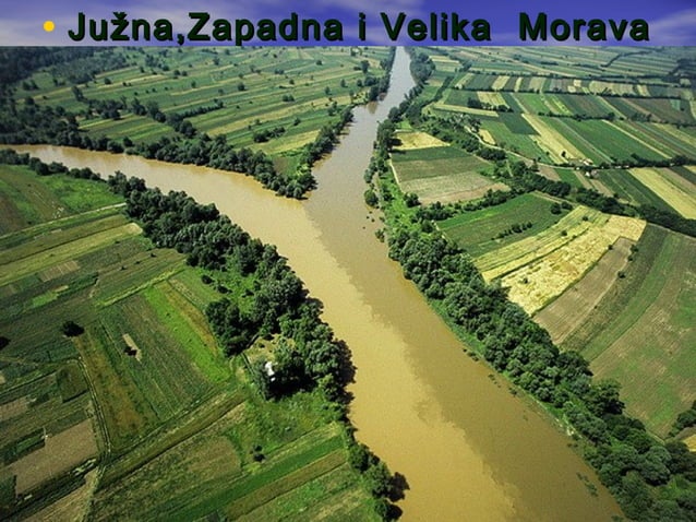 Južna Morava, Mia Pavlov | PPT
