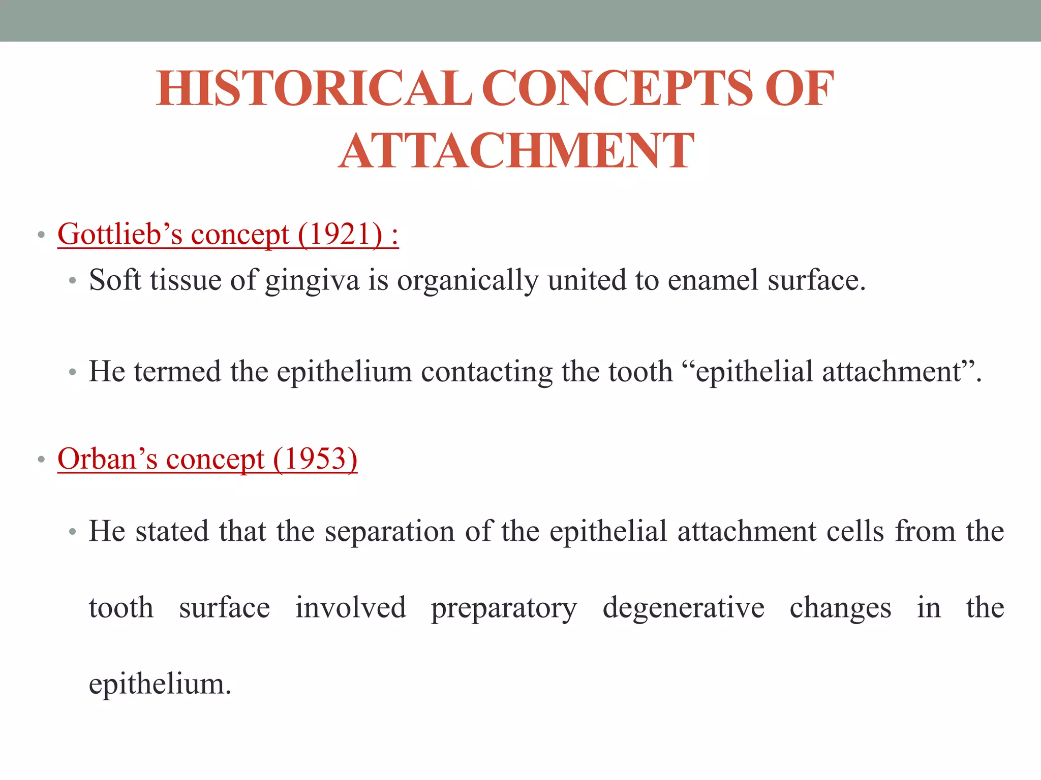 Junctional epithelium | PPTX
