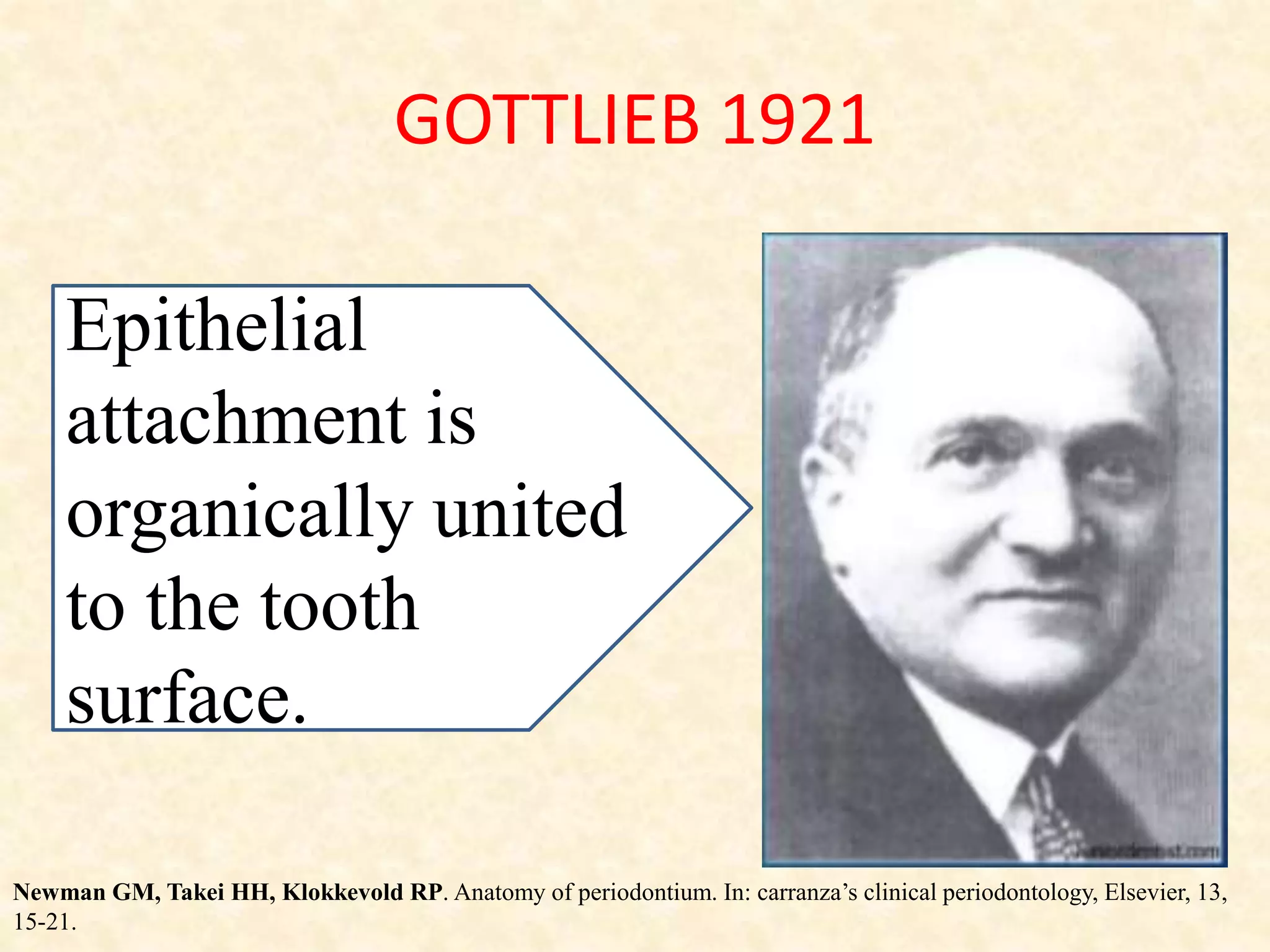 Junctional epithelium | PPT