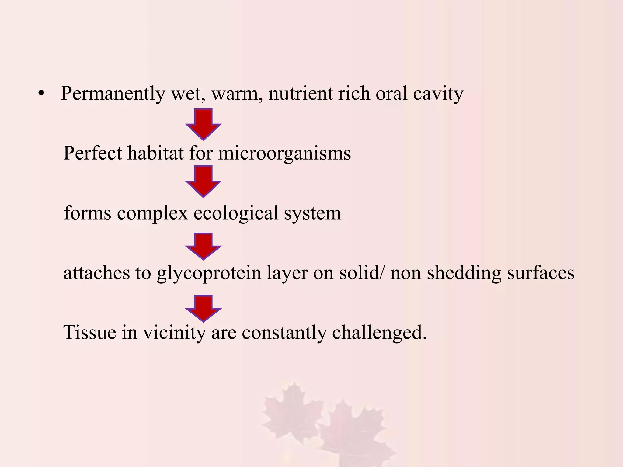 Junctional epithelium khushbu | PPTX