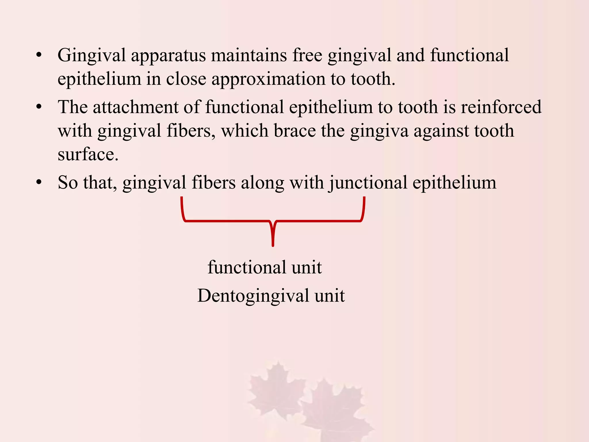 Junctional epithelium khushbu | PPTX