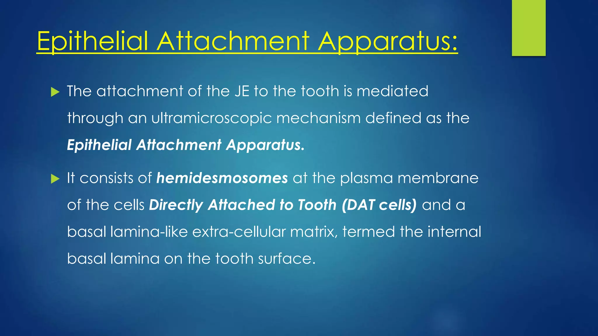 Junctional epithelium | PPTX