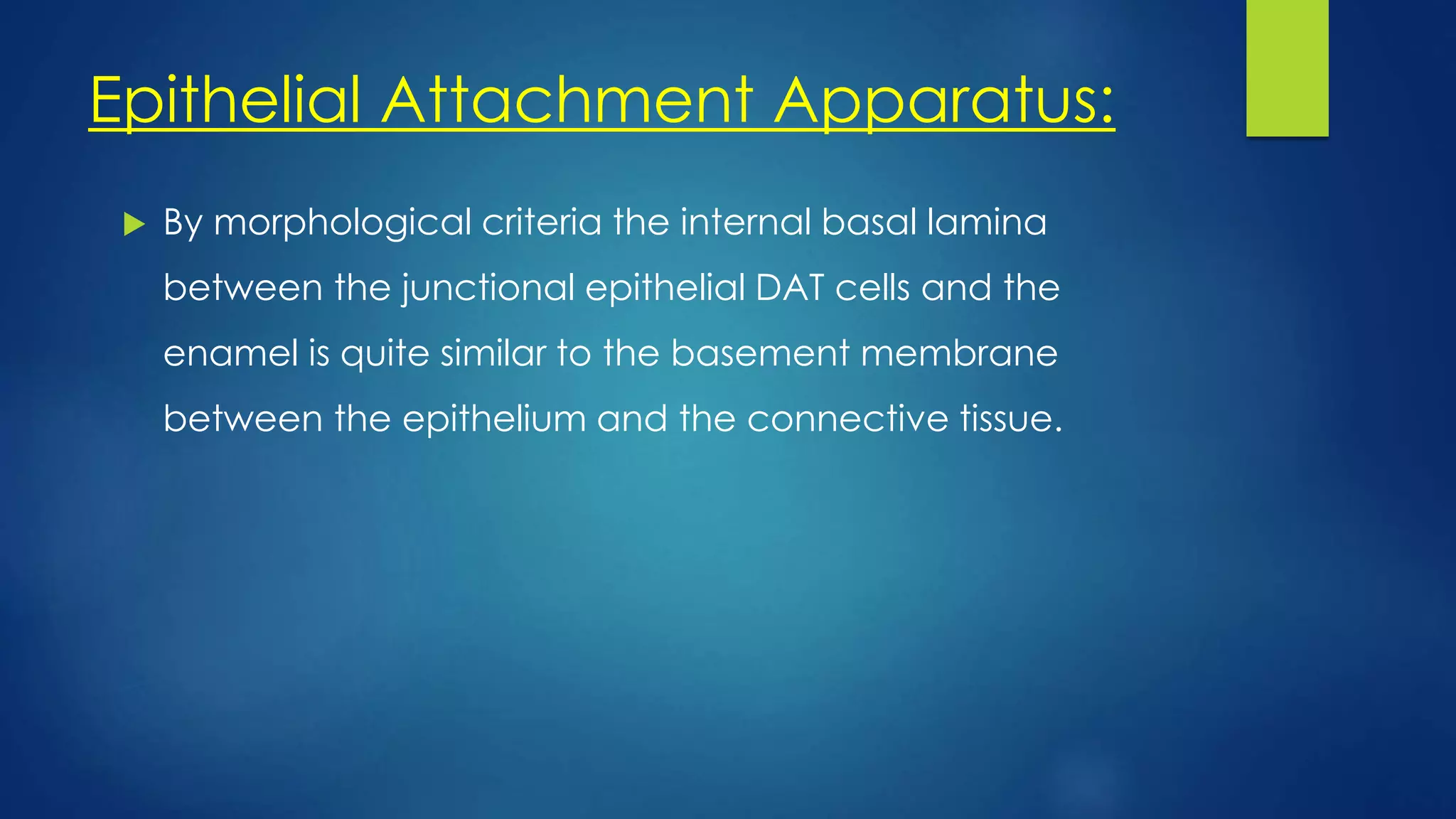 Junctional epithelium | PPTX