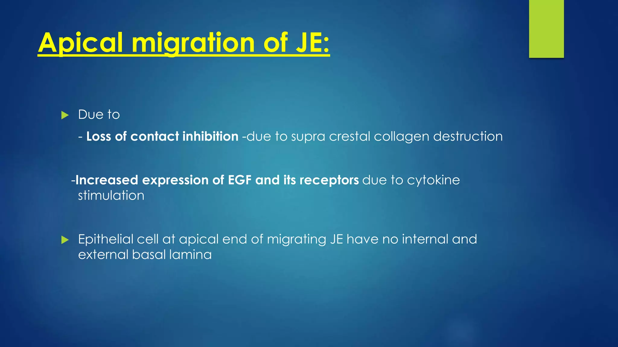 Junctional epithelium | PPTX