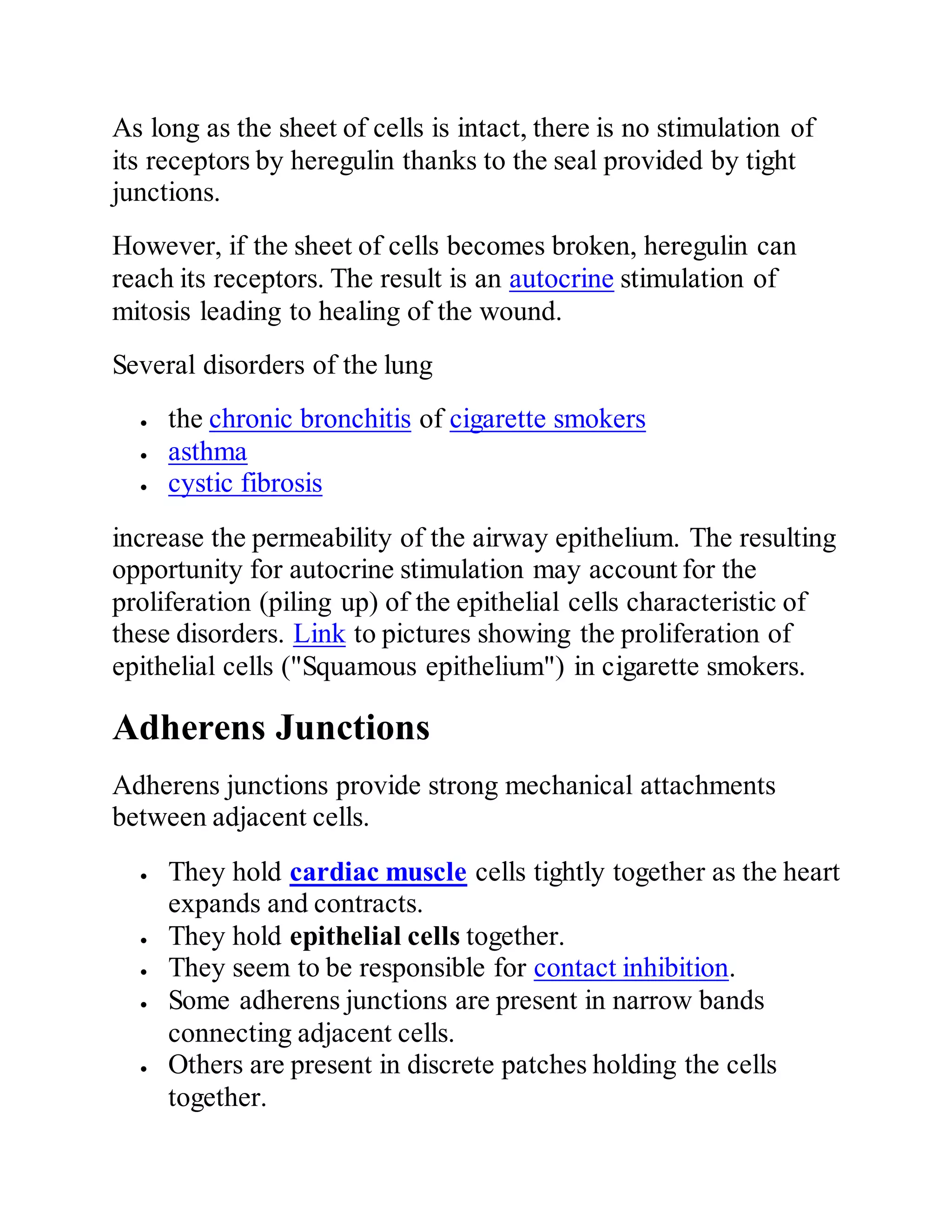 Junctions between cells | DOCX