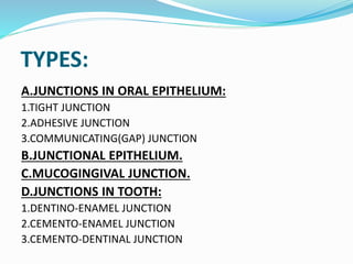 junctions in oral biology by Syeda Heba.pptx
