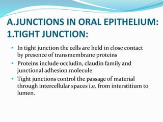 junctions in oral biology by Syeda Heba.pptx