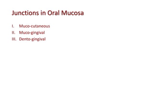 Junctions in oral mucosa | PPTX