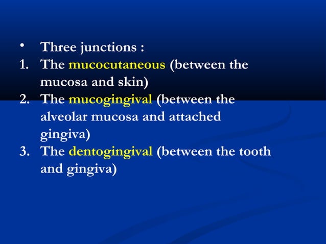 Junctions in the oral mucosa | PPT
