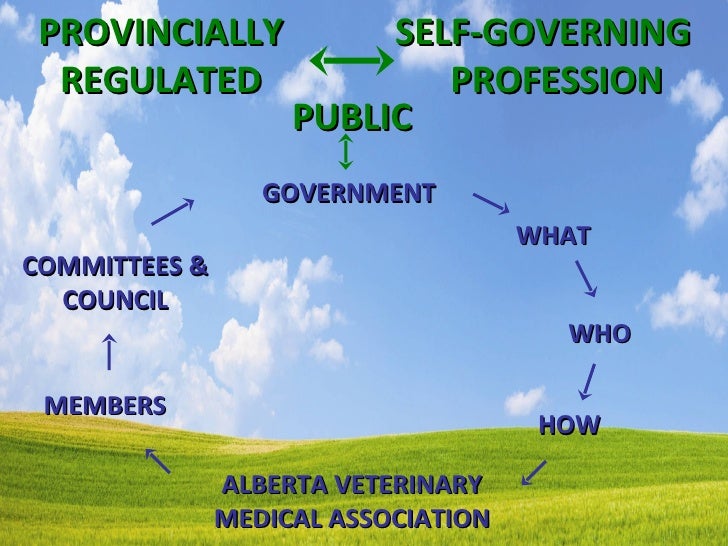 June 2012 Registration Day, Overview of the ABVMA