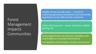 Forest Management & Why It's Important | PPTX