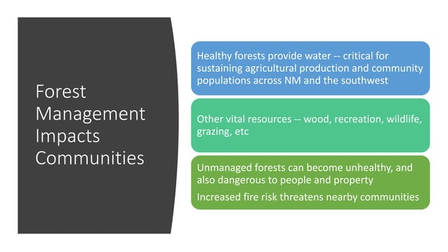 Forest Management & Why It's Important | PPT