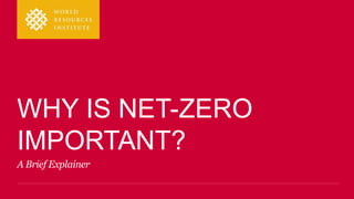 Net Zero Targets: Which Countries Have Them and How They Stack Up | PPT