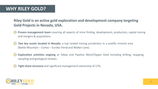 Riley Gold June 2022 Corporate Presentation | PDF | Commodities | Economy