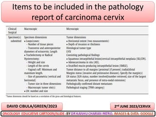 JUNE 2023 ONCOLOGY CARTOONS | PDF | Brain and Nervous System Disorders ...