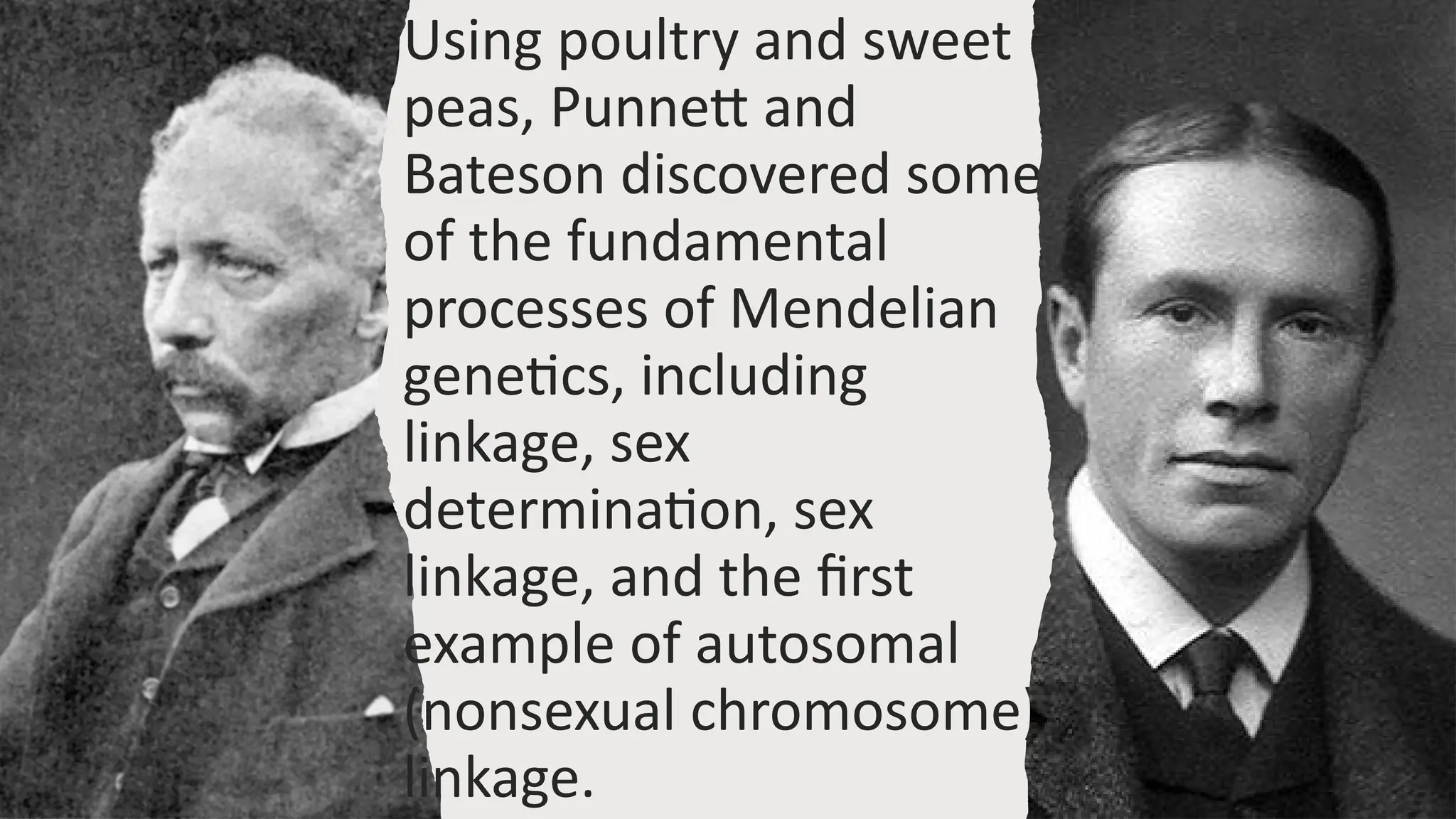 gregor mendel's principles of inheritance | PPTX | Genetics | Science
