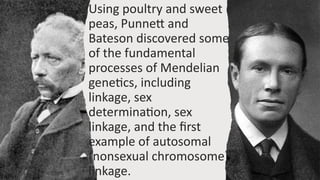 gregor mendel's principles of inheritance | PPTX | Genetics | Science