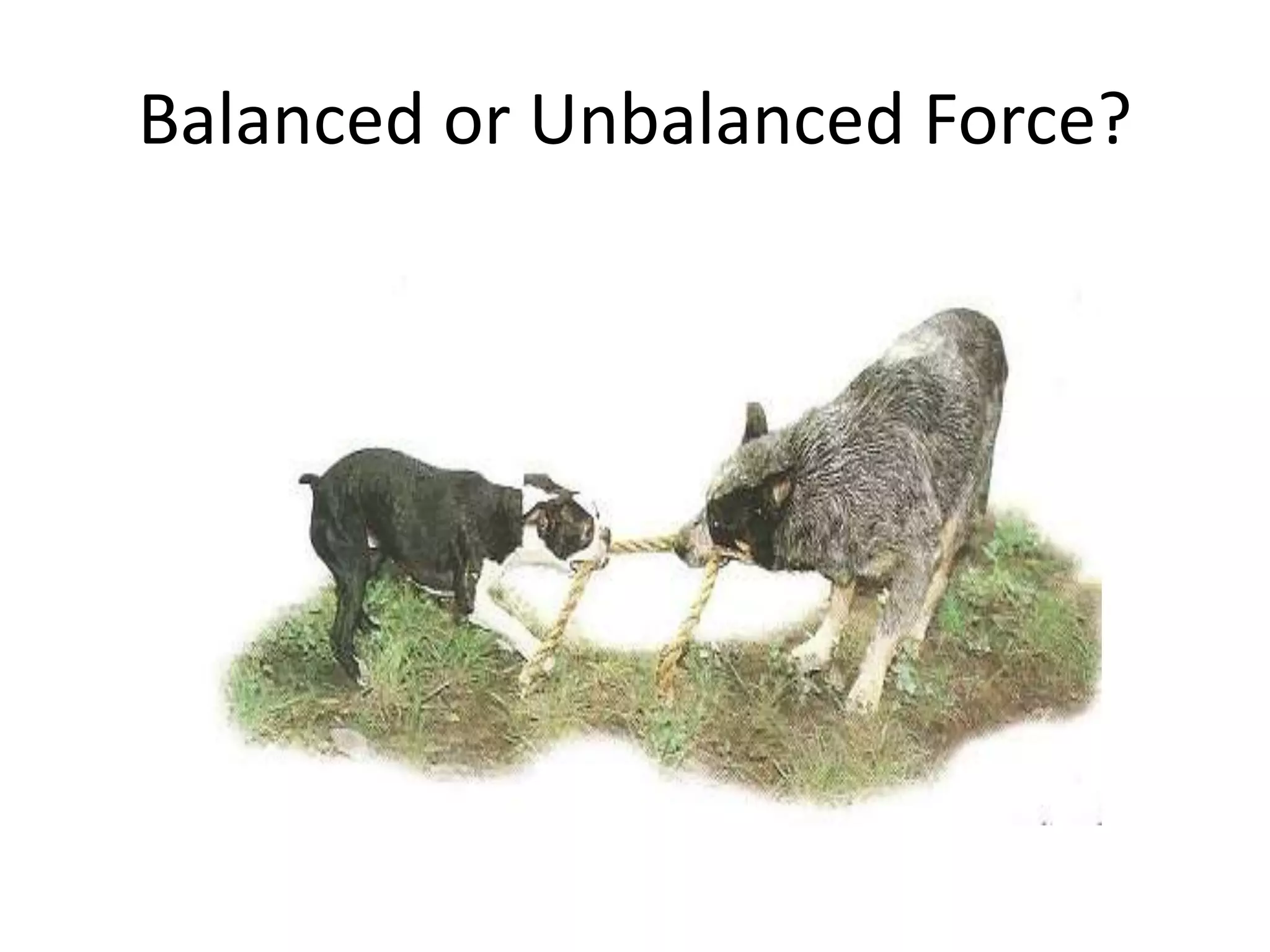 June 6 science 8 balanced and unbalanced force | PPTX | Physics | Science