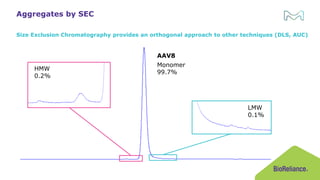 Unveiling the Potential of your AAV Gene Therapy: Orthogonal methods to ...