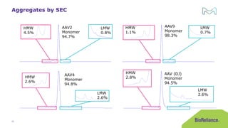 Unveiling the Potential of your AAV Gene Therapy: Orthogonal methods to ...