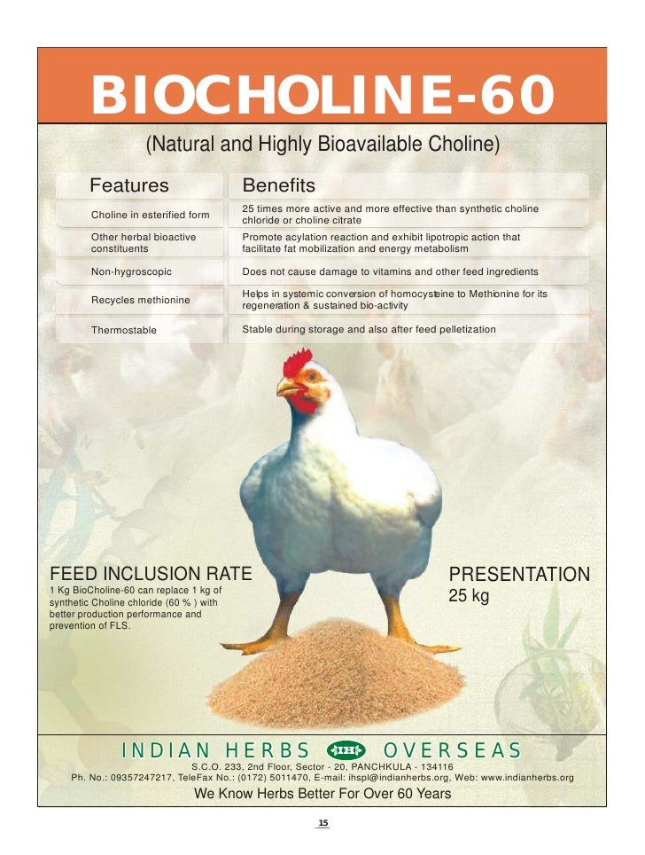 Poultry Times of India