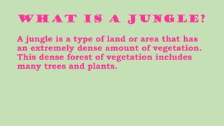 Jungles in the world, vocabulary related to nature | PPTX