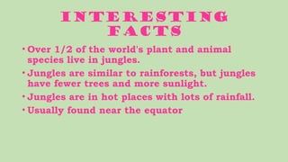 Jungles in the world, vocabulary related to nature | PPTX