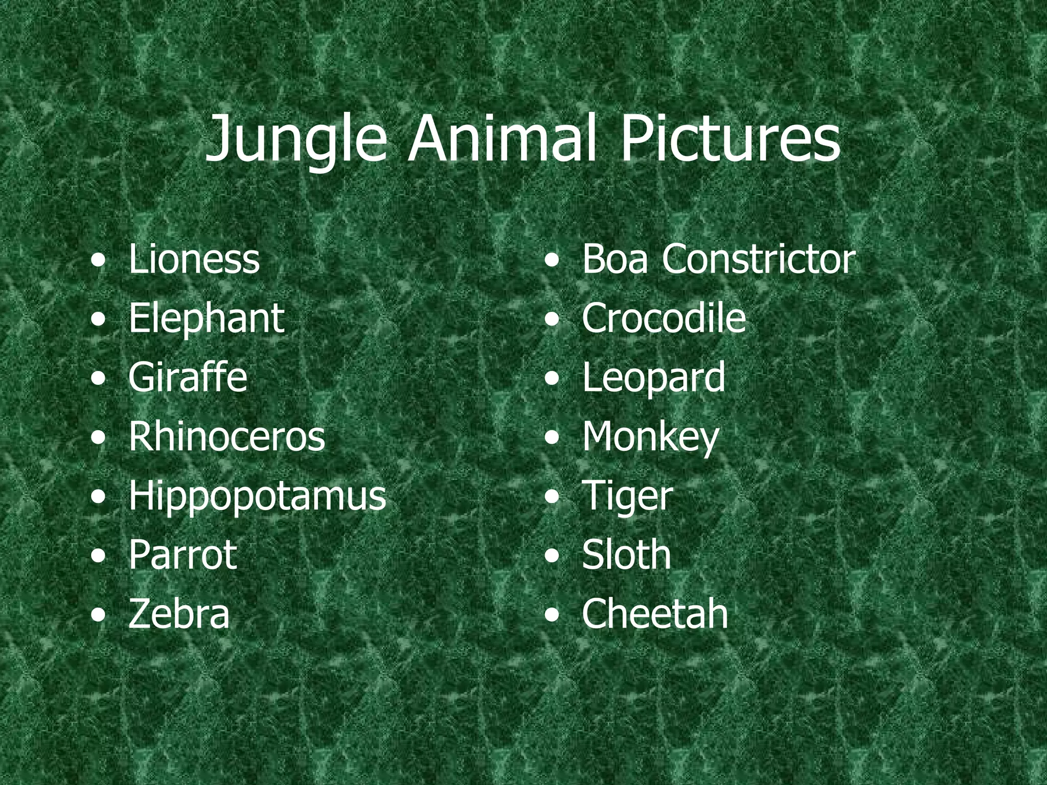 Jungle Animals | PPT