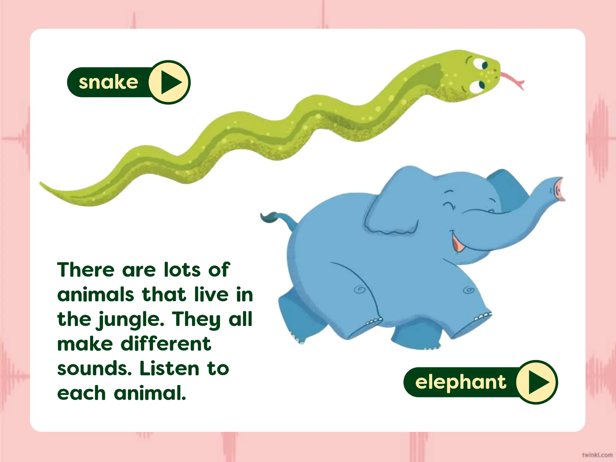 Jungle Animal Sounds Phase 1 Phonics PowerPoint.pptx