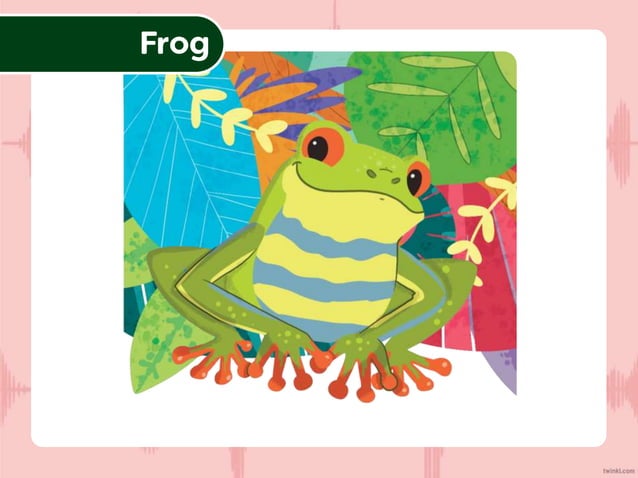 Jungle Animal Sounds Phase 1 Phonics PowerPoint.pptx