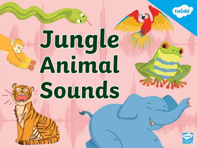 Jungle Animal Sounds Phase 1 Phonics PowerPoint.pptx