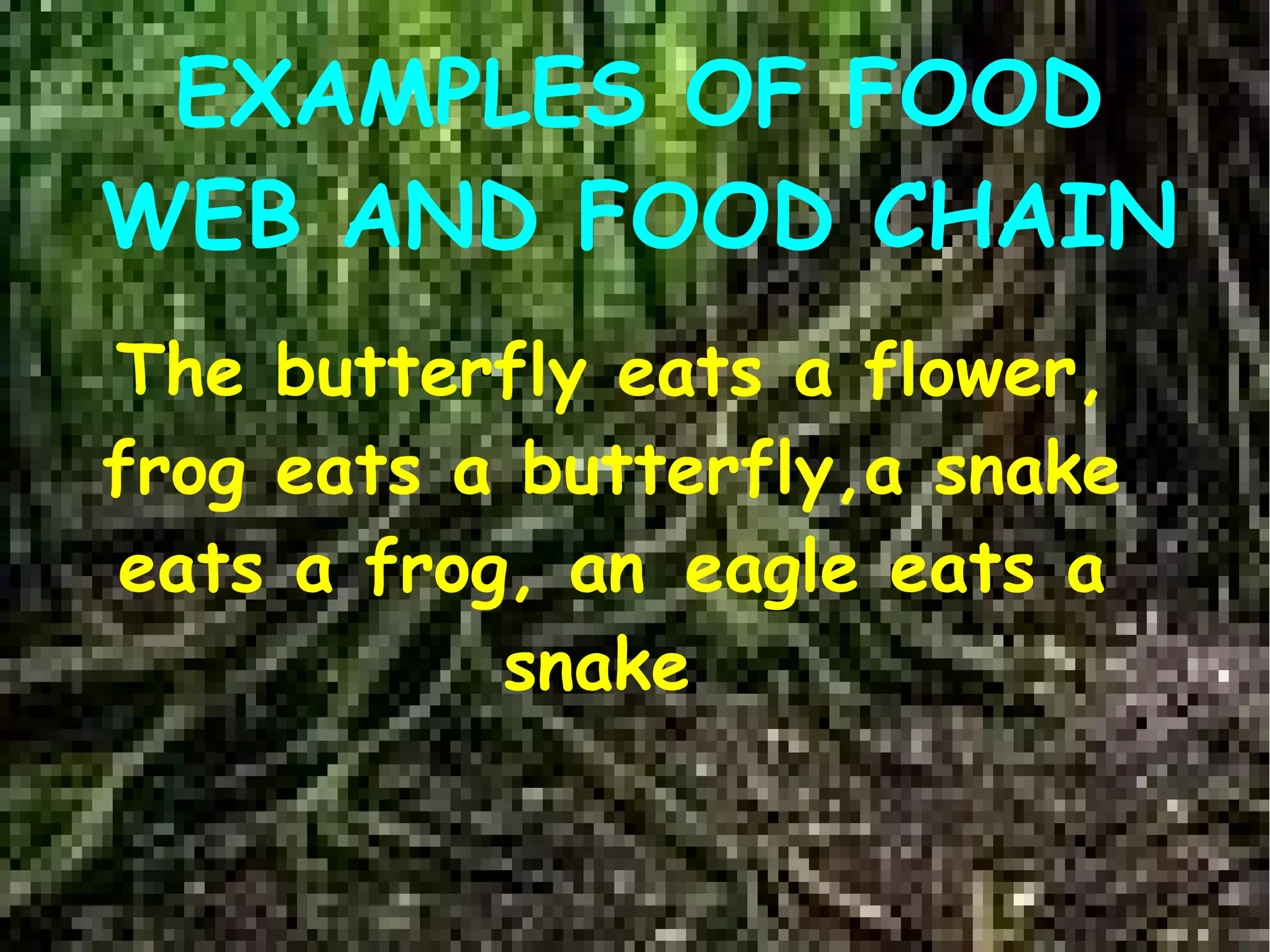 Jungle ecosystem | ODP