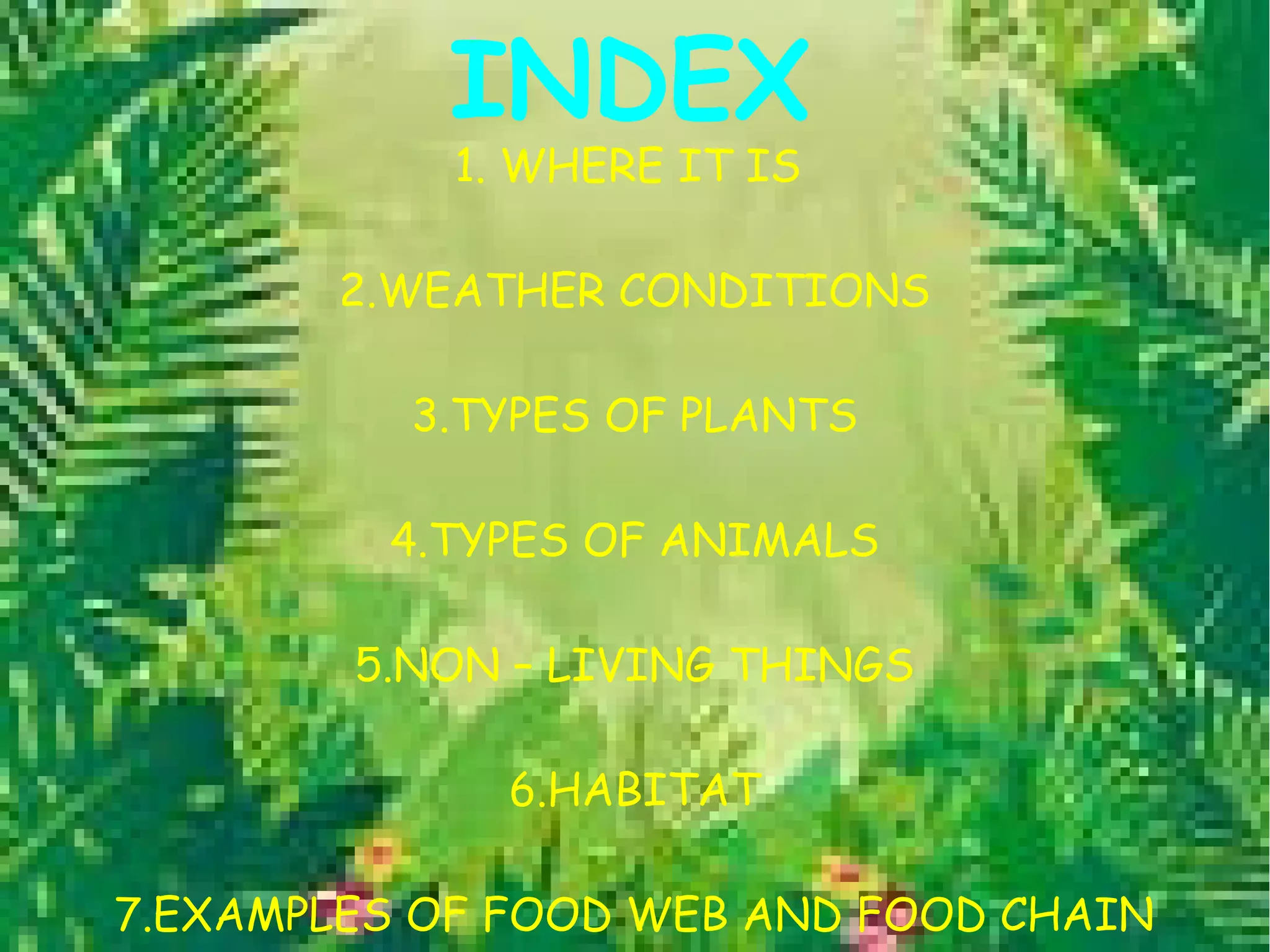Jungle ecosystem | ODP