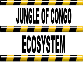 Jungle ecosystem | ODP