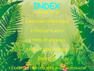 Jungle ecosystem | ODP