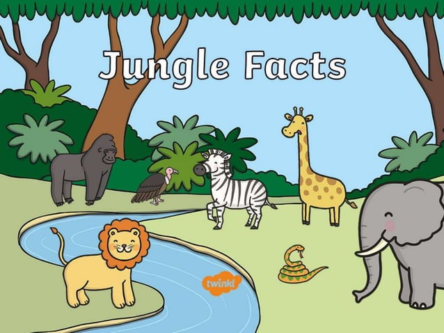 Jungle Facts.pptx