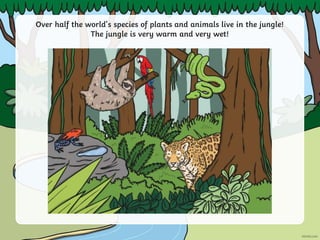 Jungle Facts.pptx