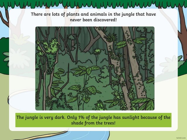 Jungle Facts.pptx