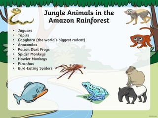 Jungle Facts.pptx