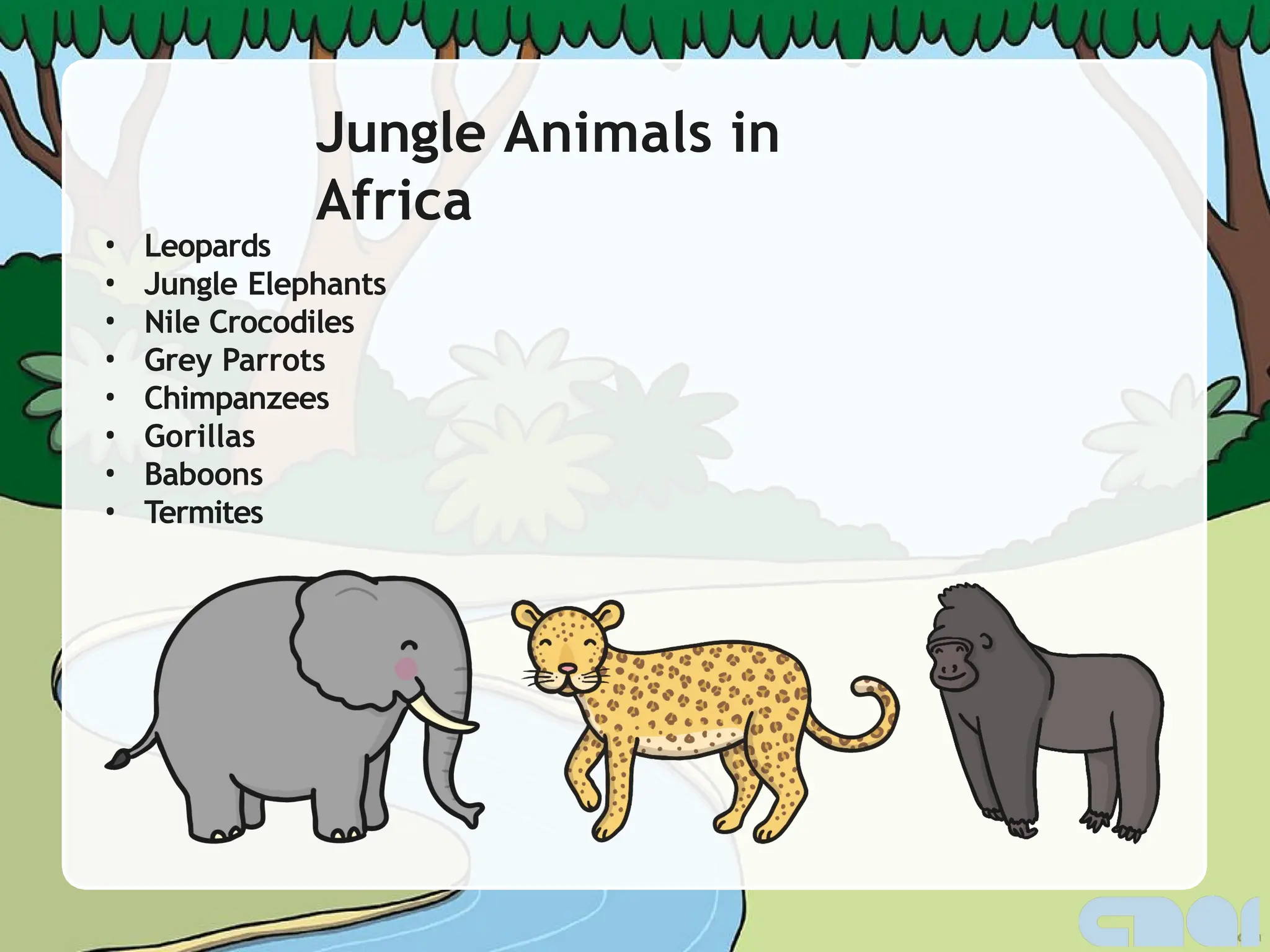 Jungle facts pptx-to prhhhhhhhhoject.pptx