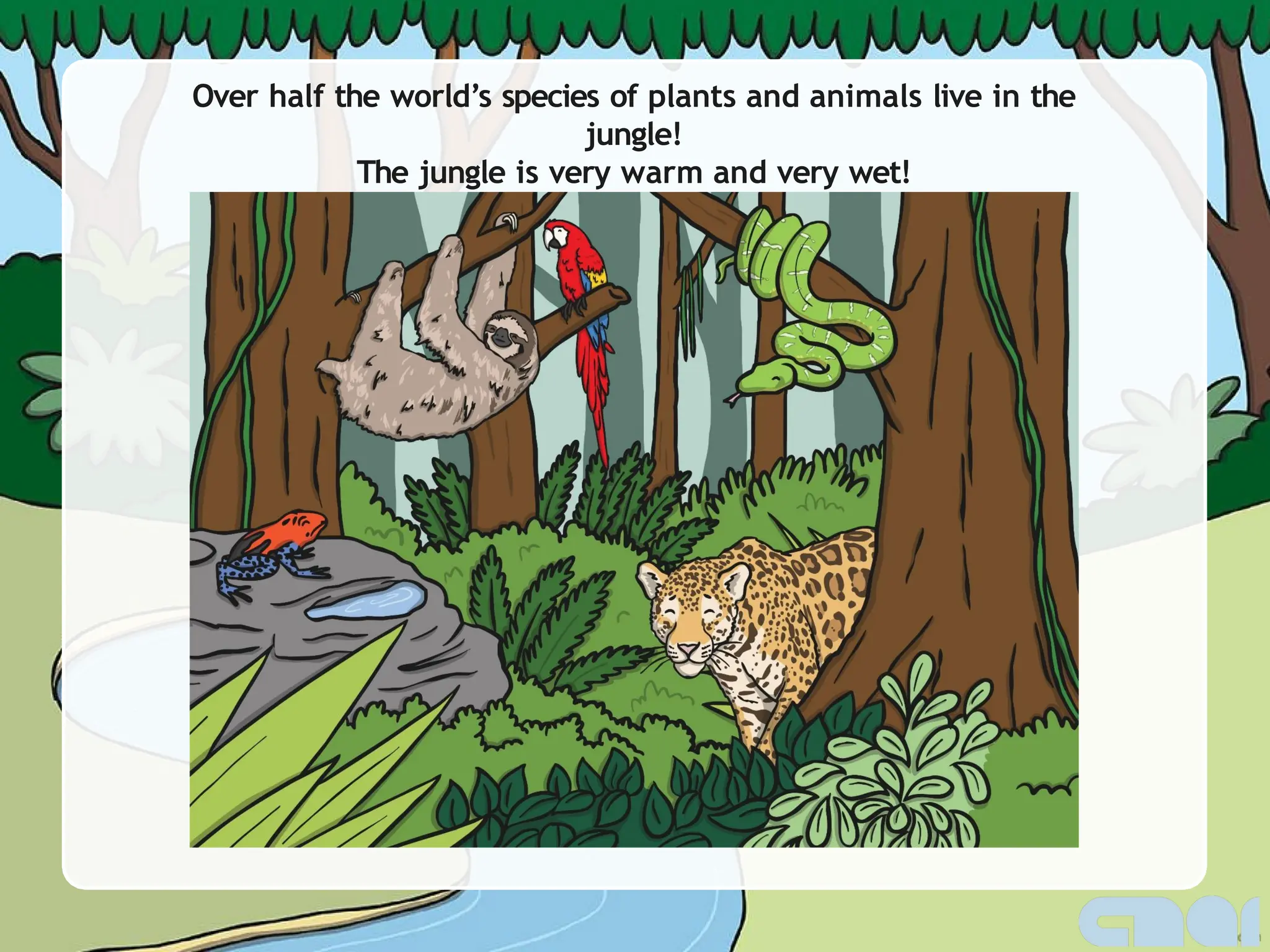 Jungle facts pptx-to prhhhhhhhhoject.pptx