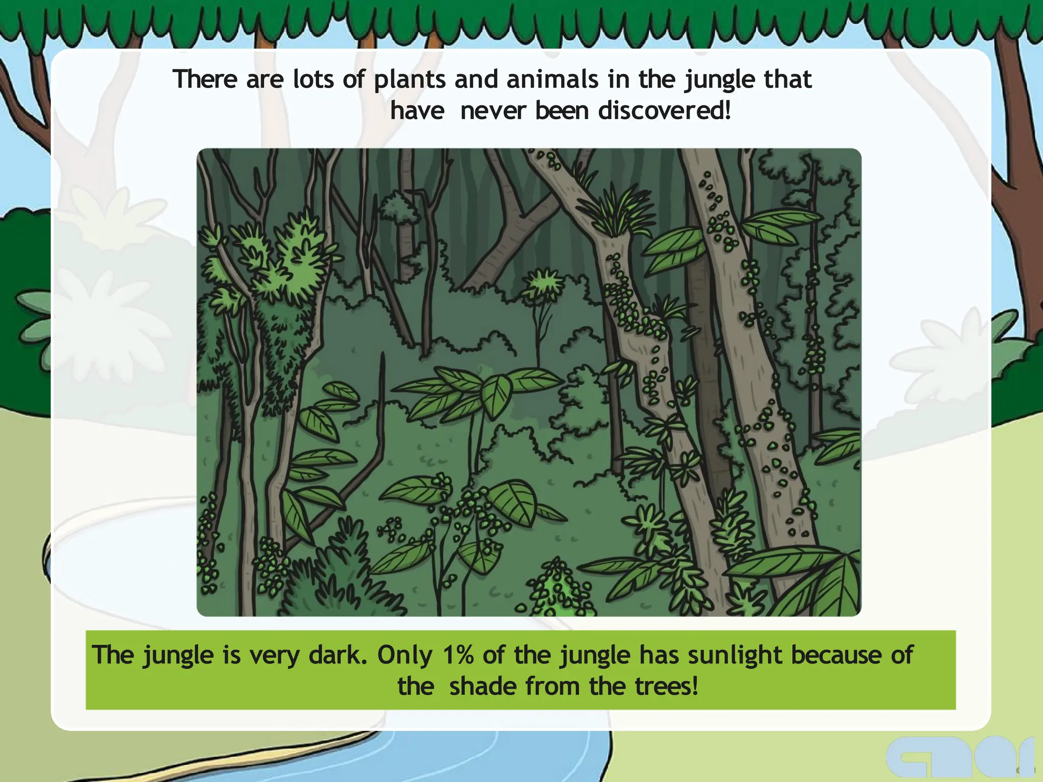 Jungle facts pptx-to prhhhhhhhhoject.pptx