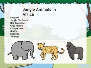 Jungle facts pptx-to prhhhhhhhhoject.pptx