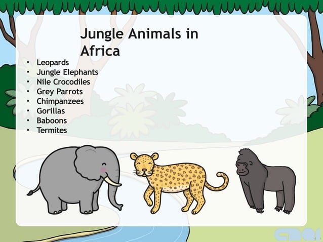 Jungle facts pptx-to prhhhhhhhhoject.pptx