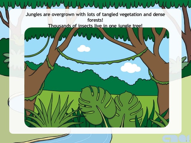 Jungle facts pptx-to prhhhhhhhhoject.pptx