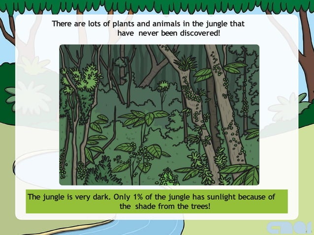 Jungle facts pptx-to prhhhhhhhhoject.pptx