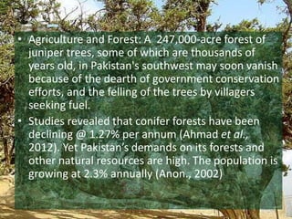 Junipers in danger (ziarat) | PPTX