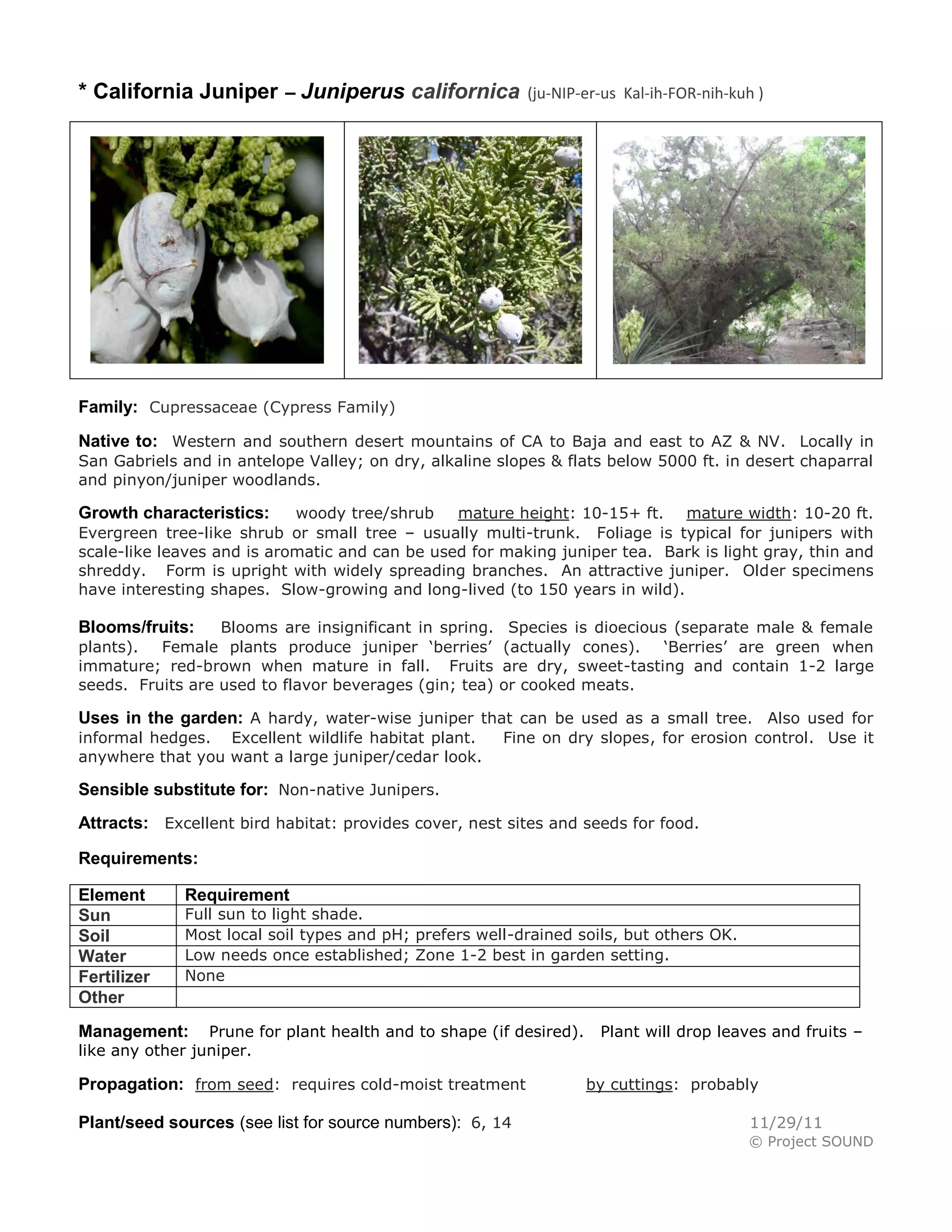 Juniperus californica | PDF