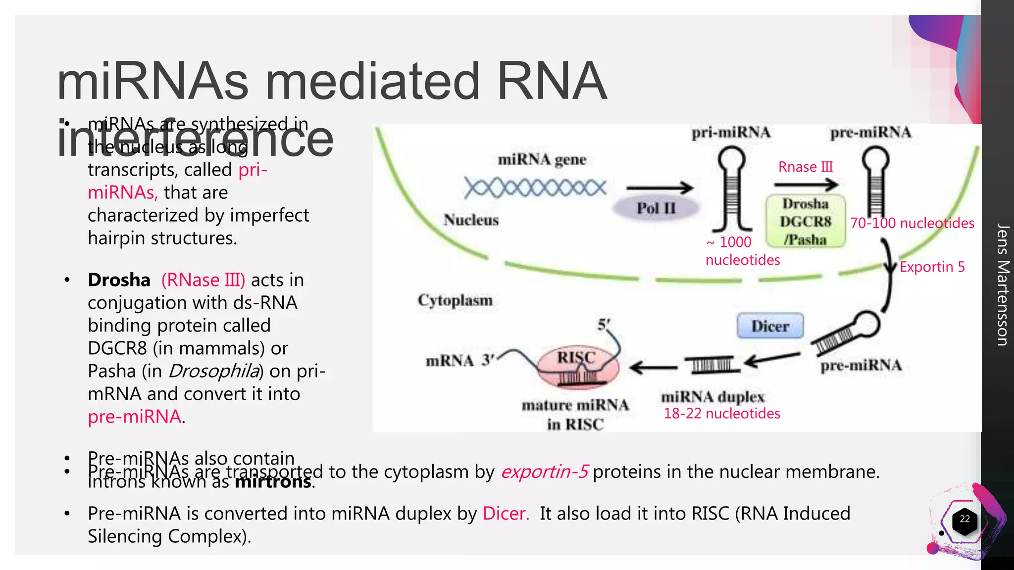 Junk DNA/ Non-coding DNA and its Importance (Regulatory RNAs, RNA ...
